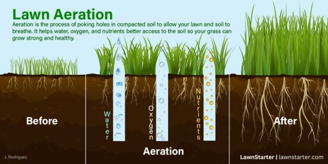 What Are the Benefits of Aerating Your Lawn?