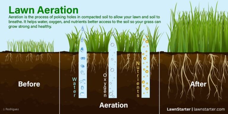 LawnStarter’s Spring Lawn Care Checklist