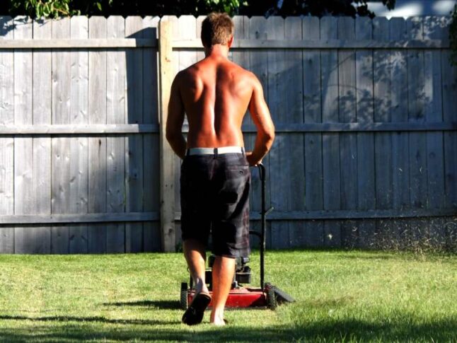 When Not to Mow Your Lawn