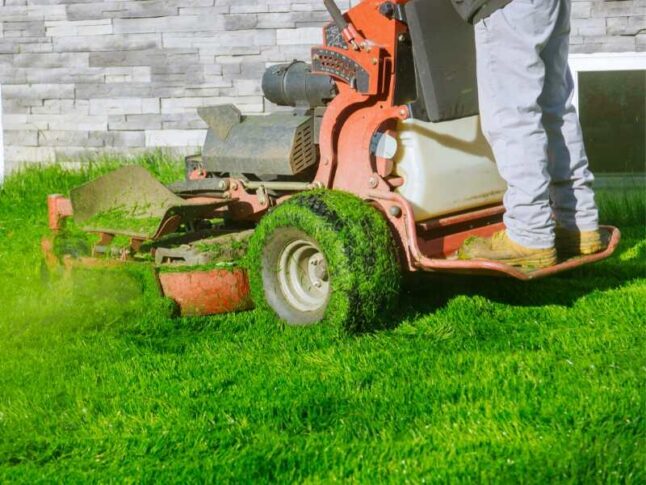 California’s Green Lawn Care Law: How It Affects You