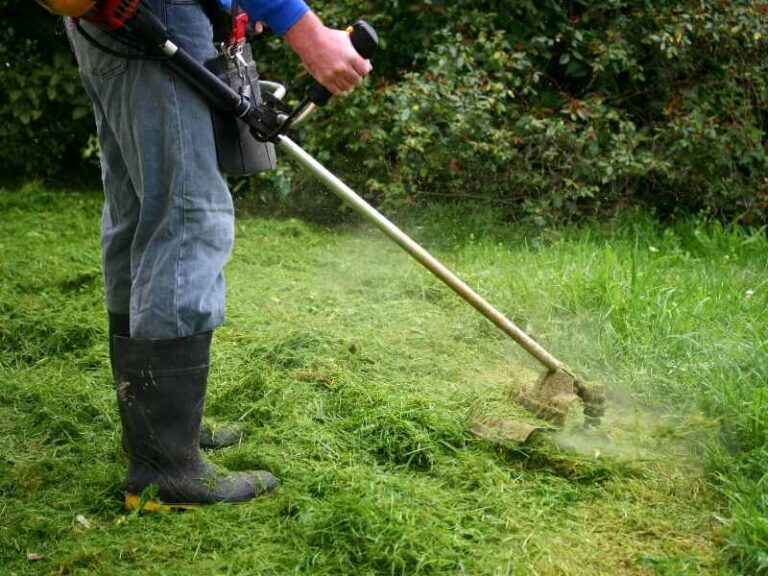 How to Weed Whack Your Lawn Like a Pro