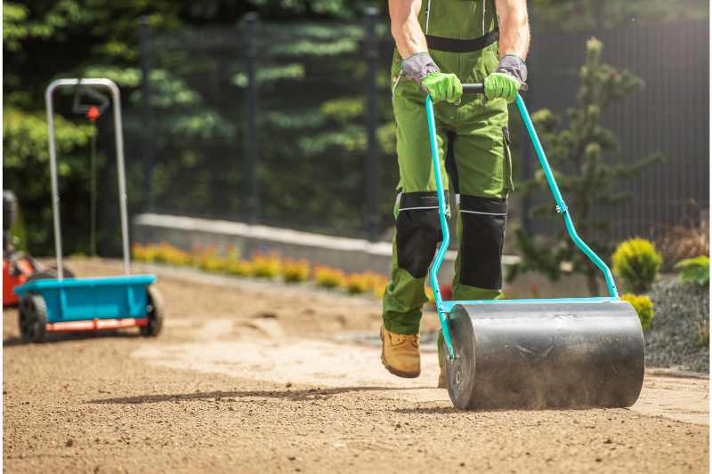 When and How to Seed a New Lawn in Maine