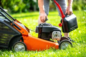 How and When to Cut New Grass