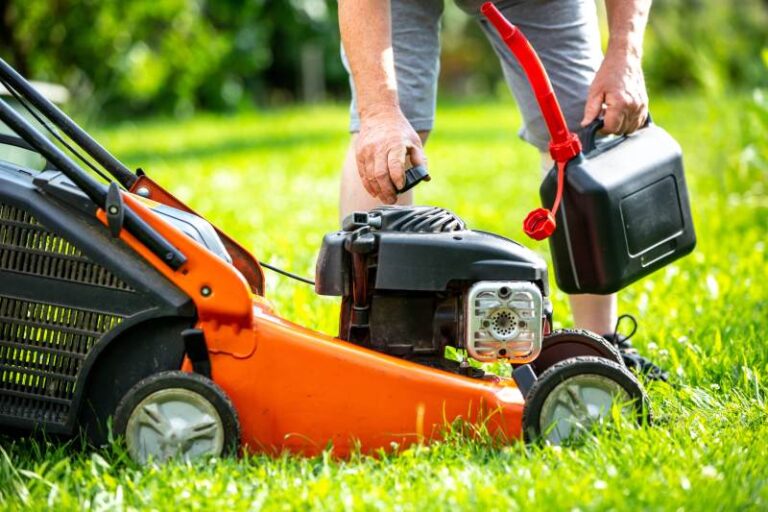 How and When to Cut New Grass
