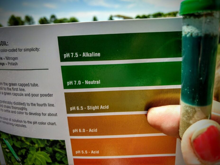 How Soil pH Affects Lawn Health