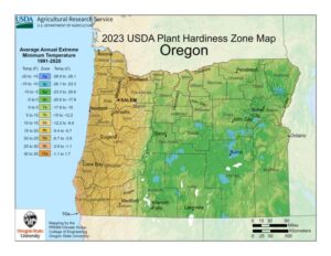 What Planting Zone is Eugene?