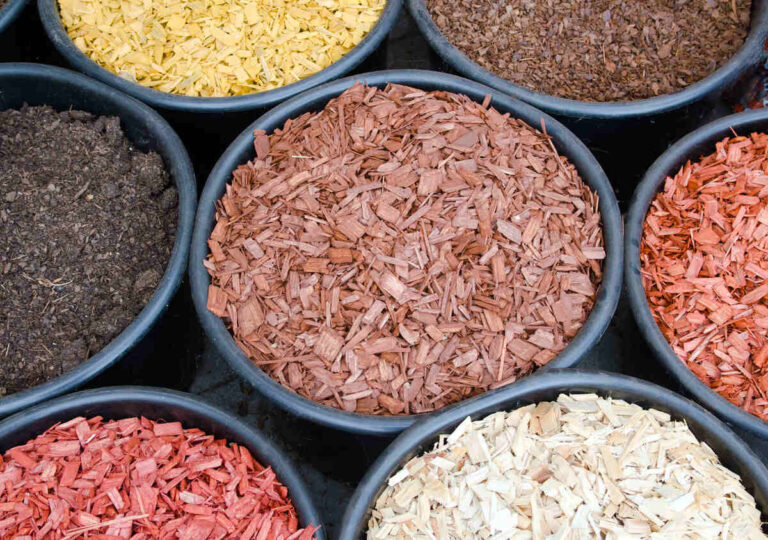 9 Types of Organic Mulch for Your Lawn: How to Choose