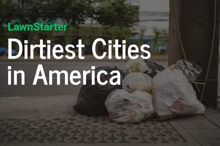2025's Dirtiest Cities in America - LawnStarter Blog