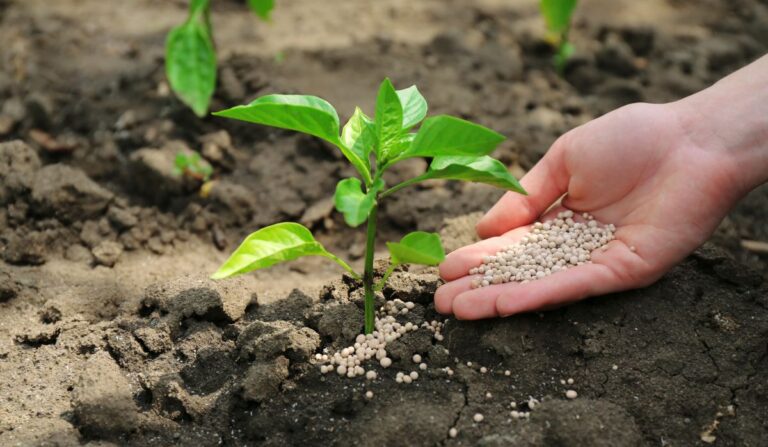 What Is Slow-Release Fertilizer?