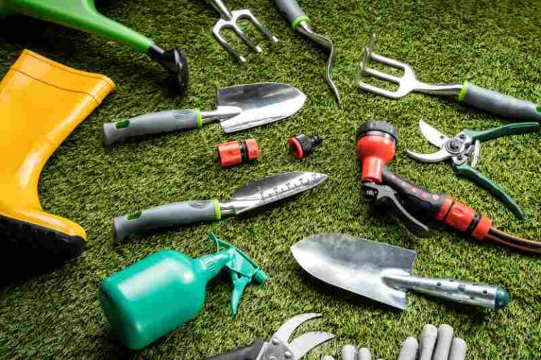 How to Plant and Grow Grass Seed