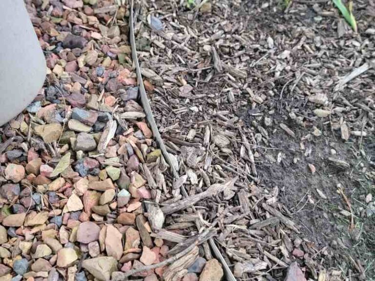 How to Fix Compacted Soil