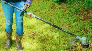 7 Best Electric String Trimmers of 2025 [Reviews]