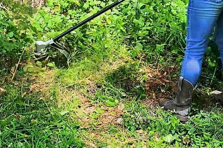 7 Best Electric String Trimmers of 2025 [Reviews]