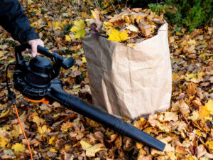 How to Use a Leaf Blower