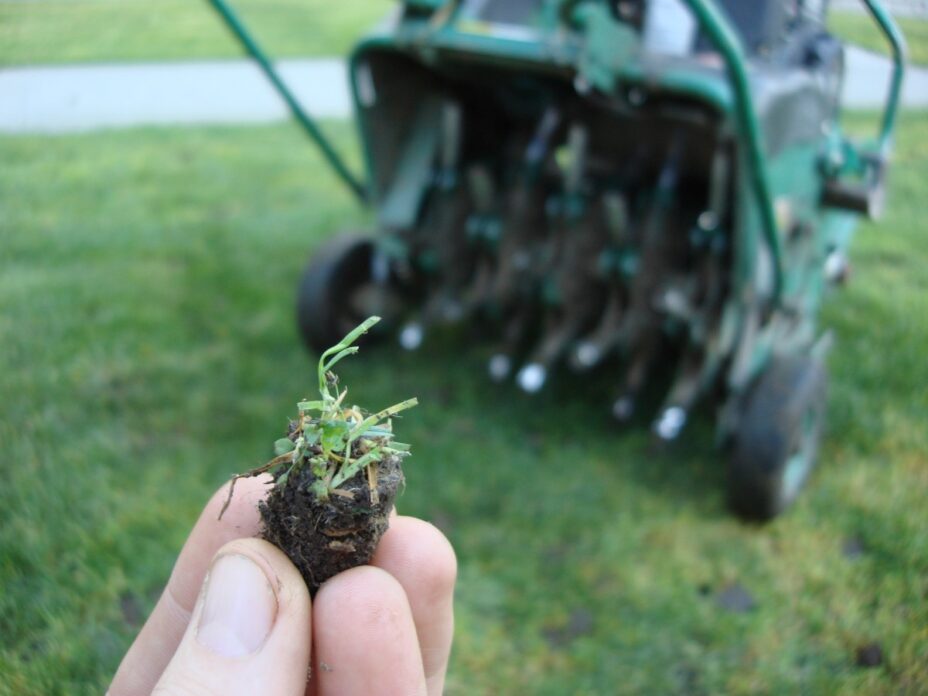 How to Aerate Your Lawn: A Complete Guide