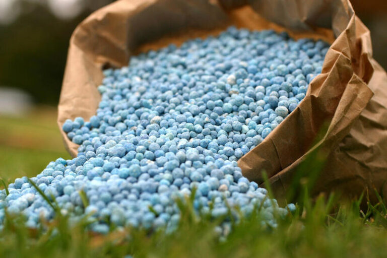 6 Different Nitrogen Sources for the Lawn