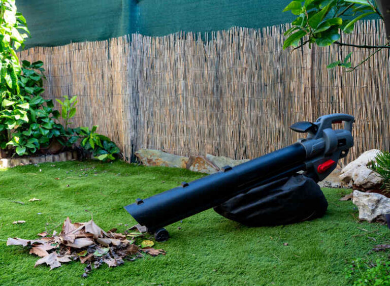 How to Use a Leaf Blower