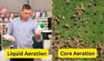 Liquid Aeration vs. Core Aeration: What’s the Difference?