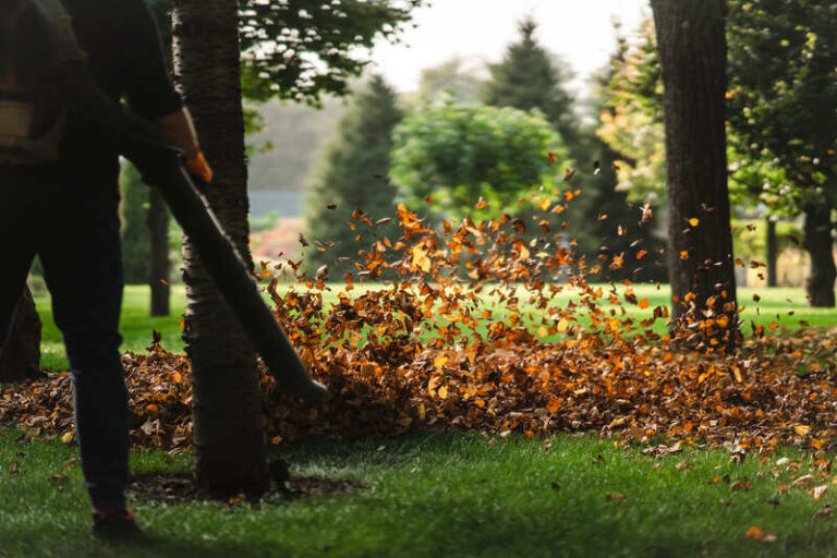 How to Use a Leaf Blower