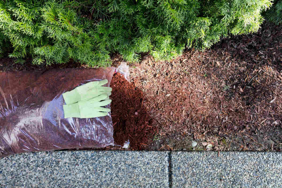 What Is Mulch?