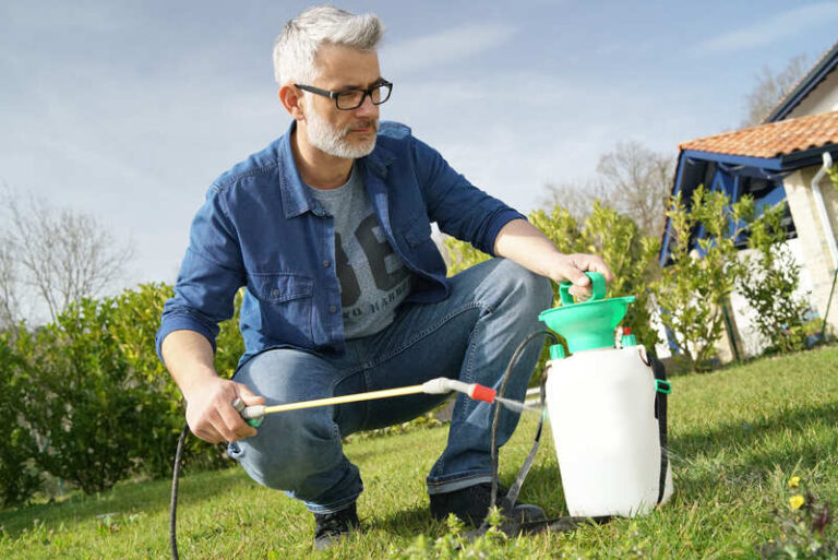 Applying Post-Emergent Herbicides to Your Lawn