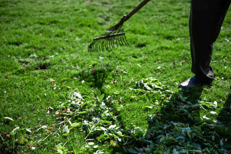 A Guide to Eco-Friendly Lawn Care