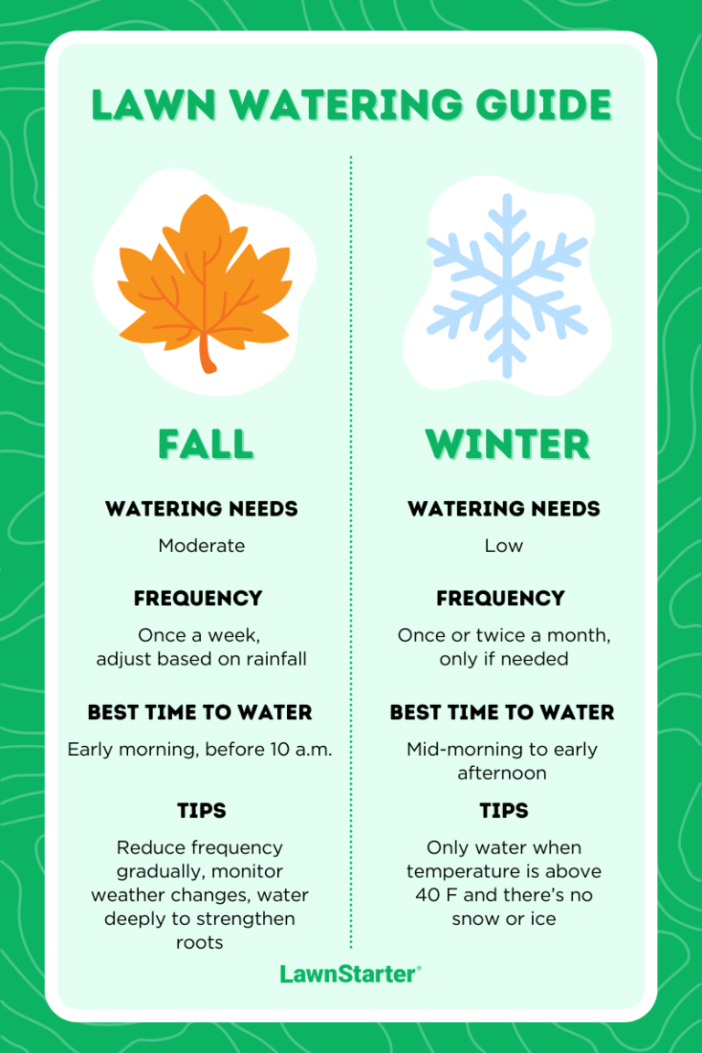 How to Water Your Lawn in Fall and Winter
