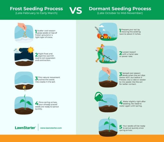 Frost Seeding vs. Dormant Seeding: What's the Difference?