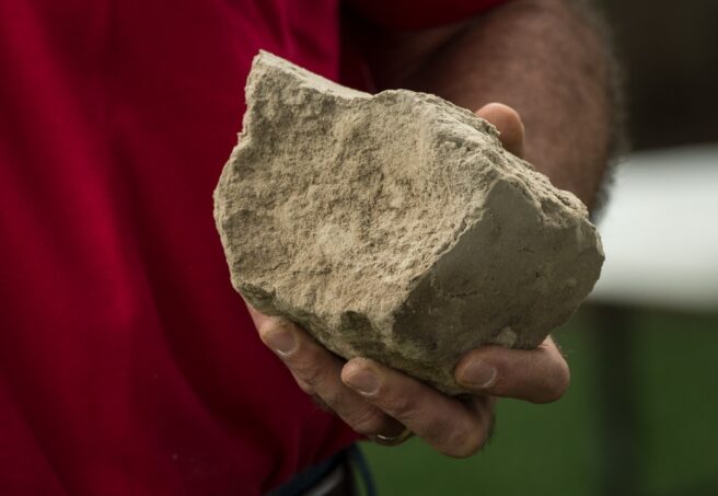 How to Fix Compacted Soil