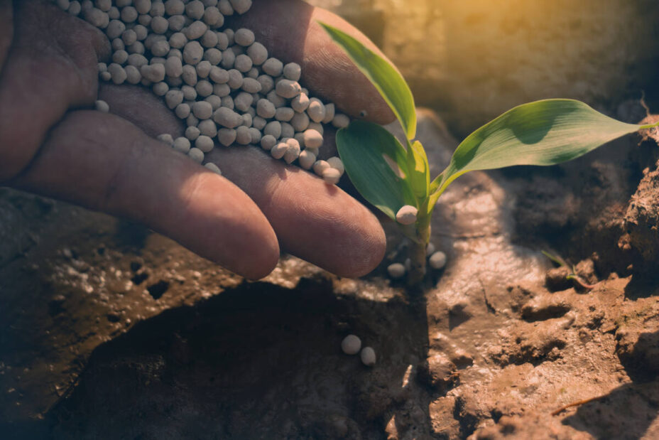 Slow-Release vs Quick-Release Fertilizer