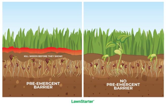 What are Pre-Emergent Herbicides?