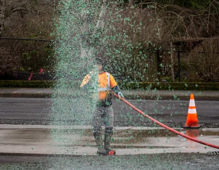 Hydroseeding vs. Sod: Which Is Right For You?
