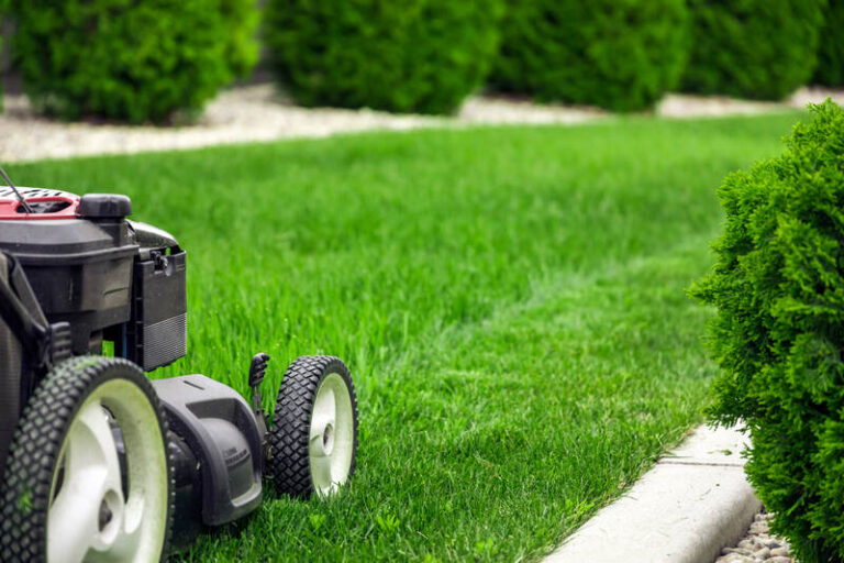 When is the Best Time of Day to Mow Grass?