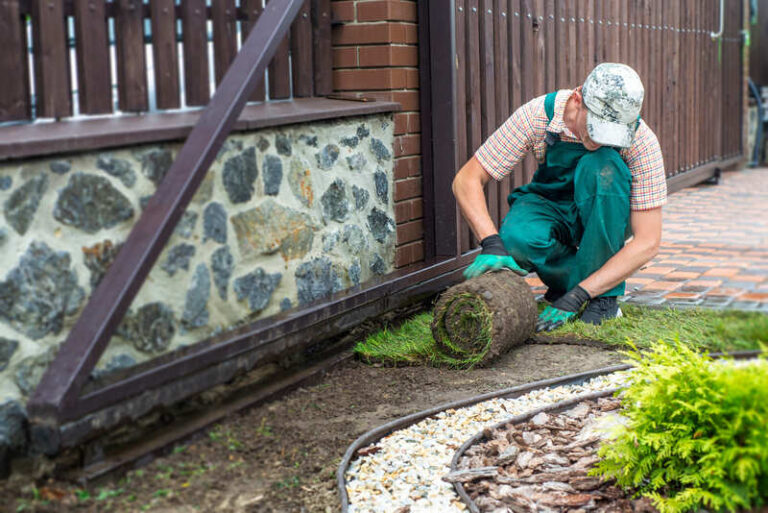 Hydroseeding vs. Sod: Which Is Right For You?
