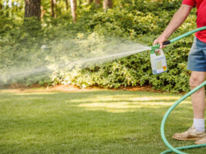 How to Apply Liquid Fertilizer to Your Lawn