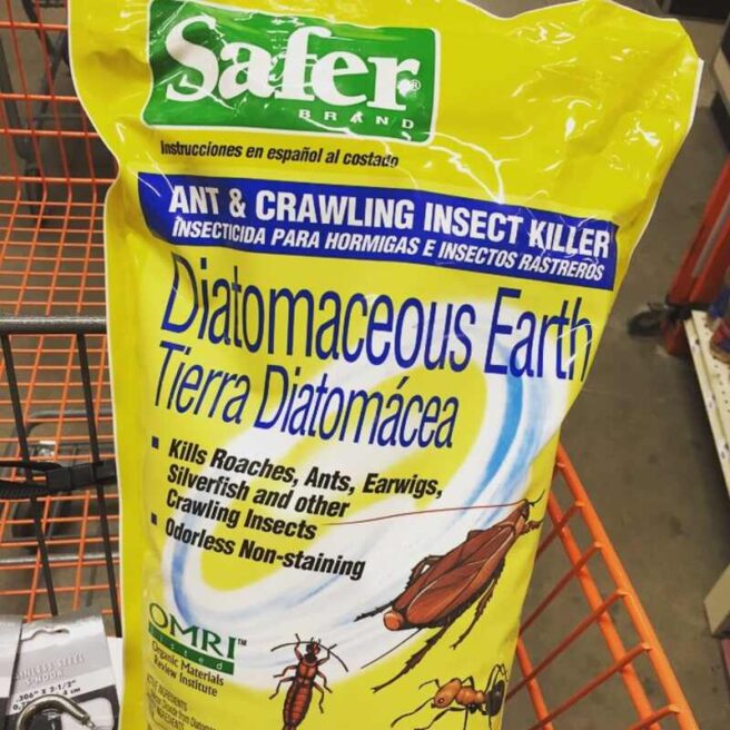 How to Use Diatomaceous Earth to Treat Fleas in Your Yard