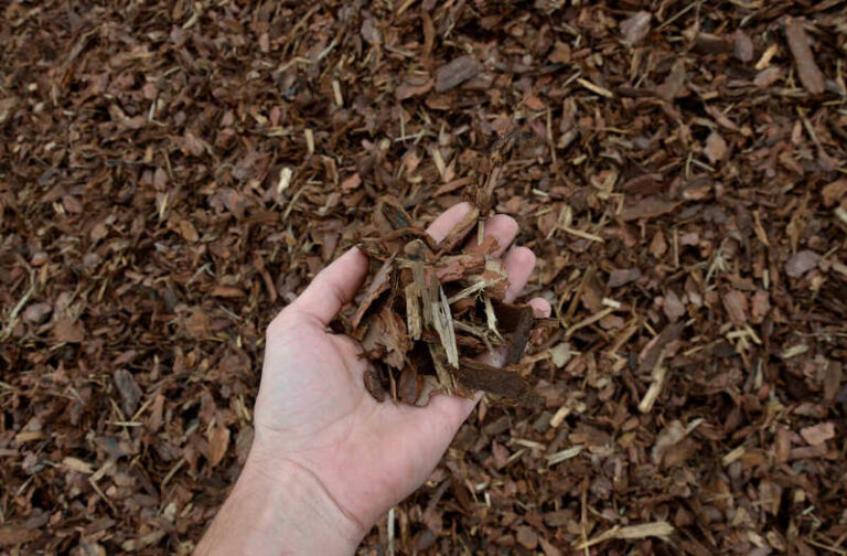 9 Types of Organic Mulch