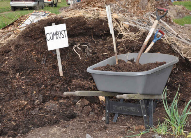 9 Types of Organic Mulch for Your Lawn: How to Choose