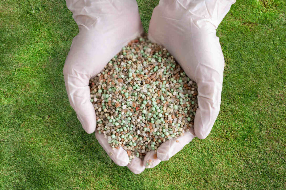 When to Apply Weed and Feed to Your Lawn