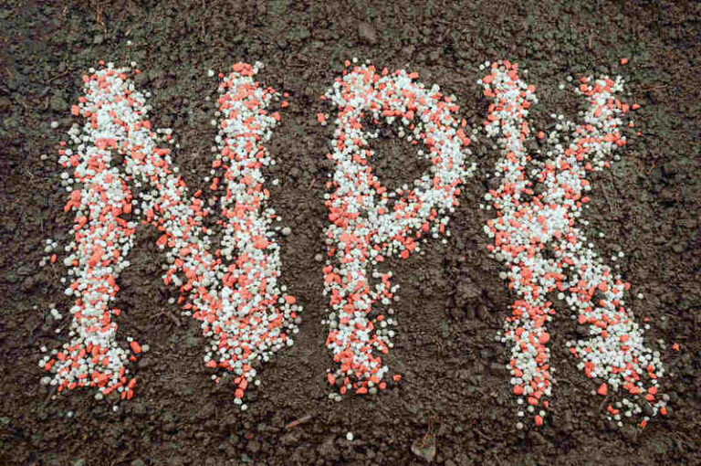 Fertilizer Numbers: What They Mean and How to Use Them