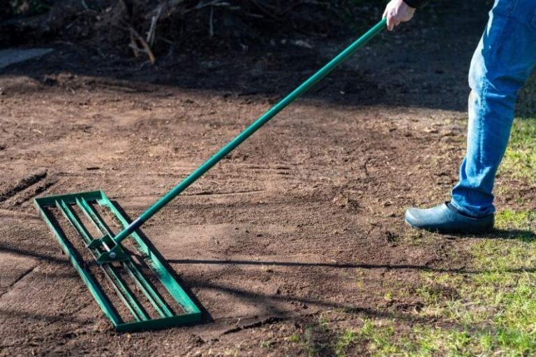 12 Ways to Get Rid of Standing Water