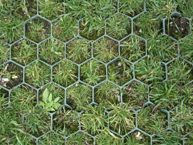 How to Protect Your Lawn During Outdoor Events