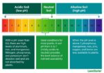 How to Read a Soil Test Report