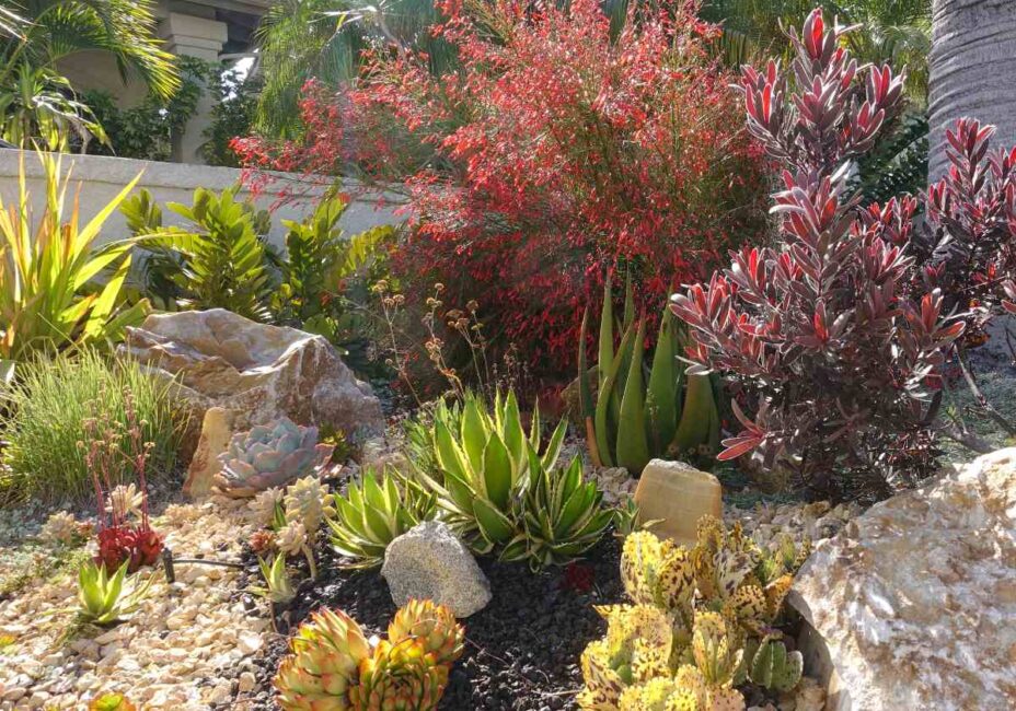 How to Create Fire-Resistant Landscaping