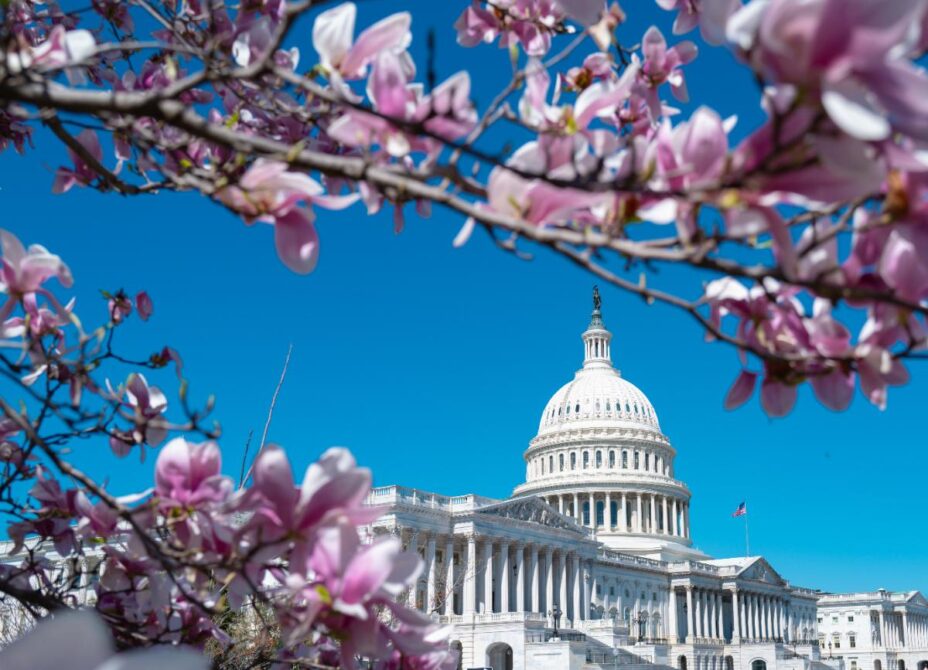 Spring Lawn Care Checklist for Washington, D.C.