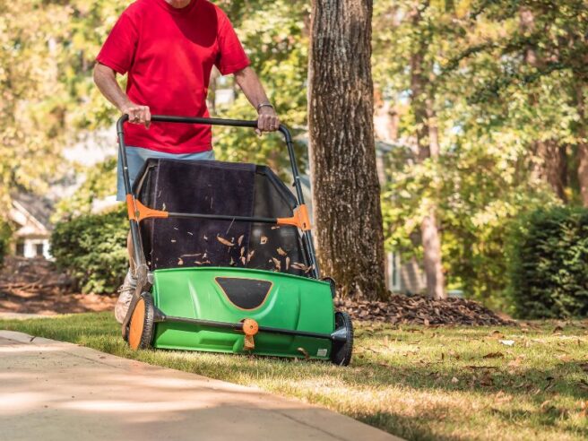 Best Tools to Use to Collect Autumn Leaves
