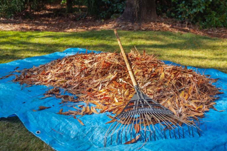 16 Tips for Cleaning Up Leaves in Your Yard