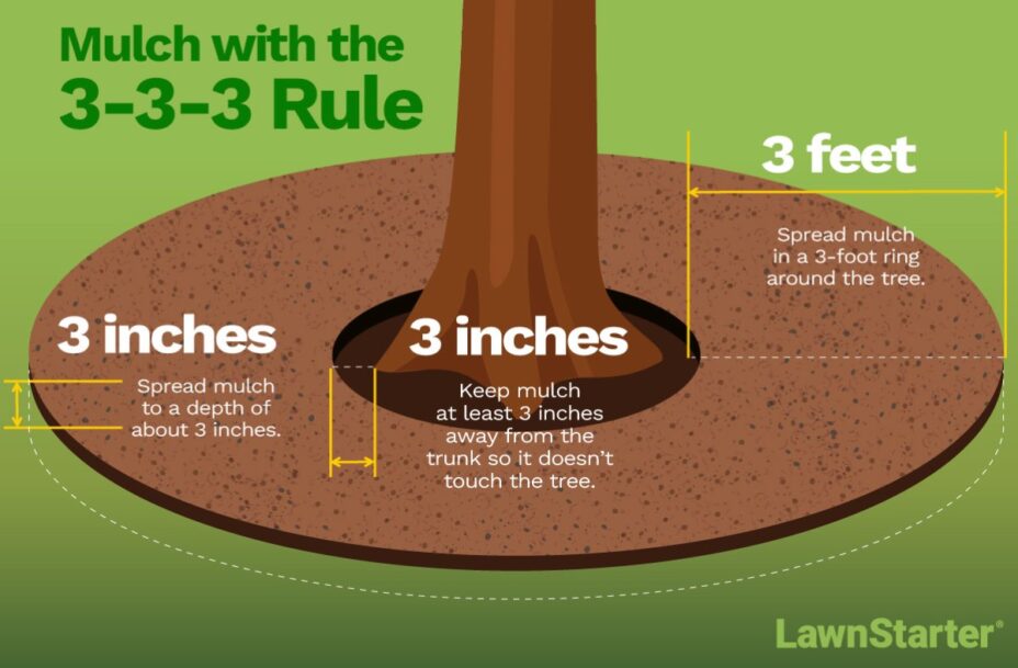 How to Mulch Around Trees The Right Way