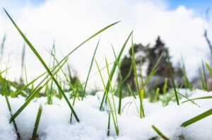 How Snow and Ice Affect Your Lawn