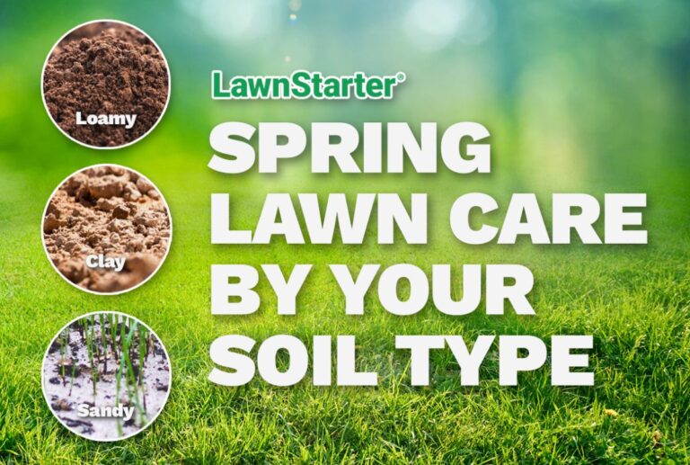 Spring Lawn Care by Soil Type
